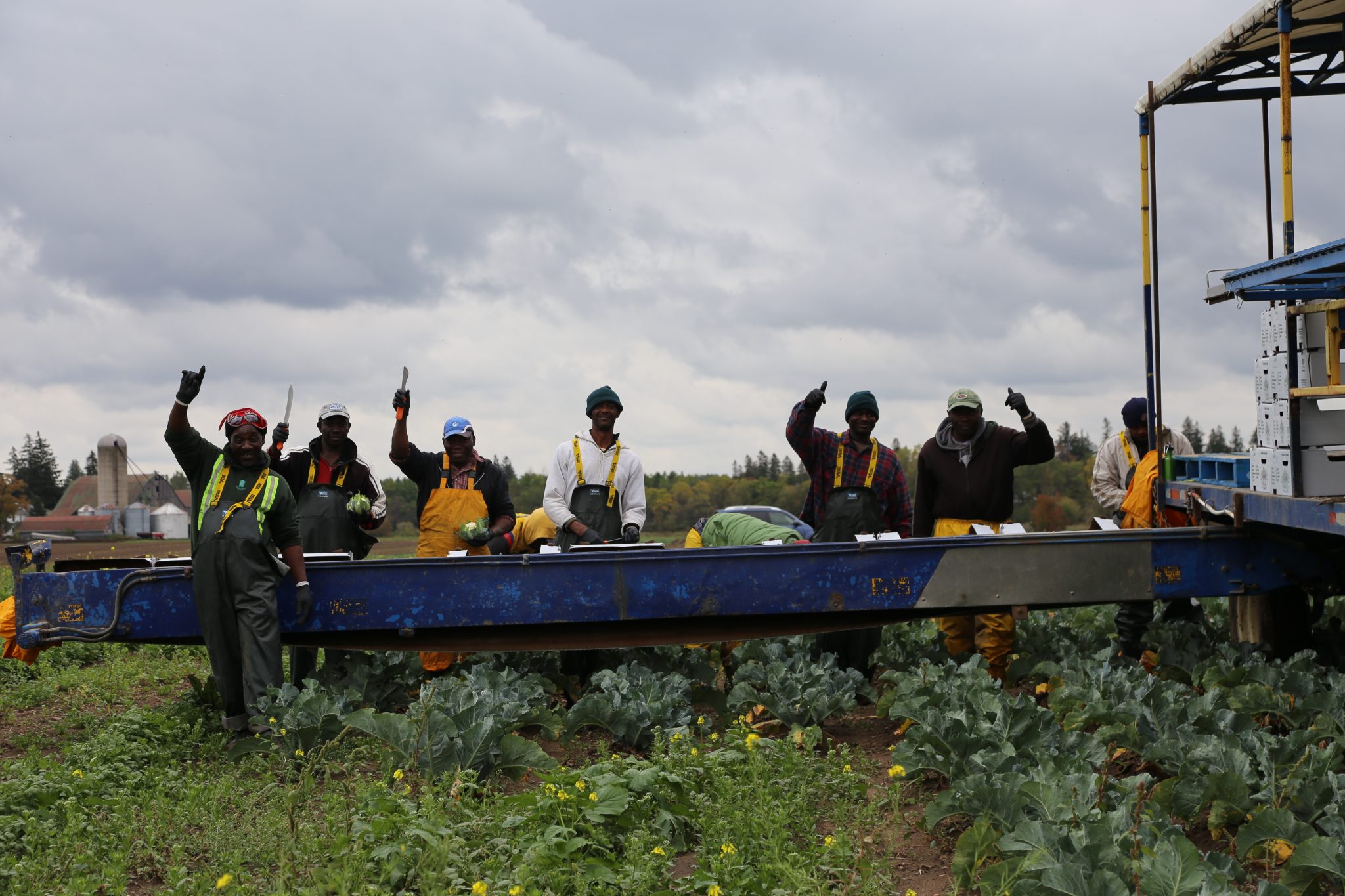 Pfennings Organic Farms