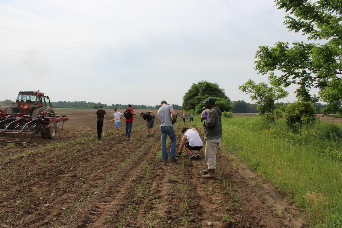 Seasonal Agricultural Worker Program – Then & Now | Pfennings Organic Farms