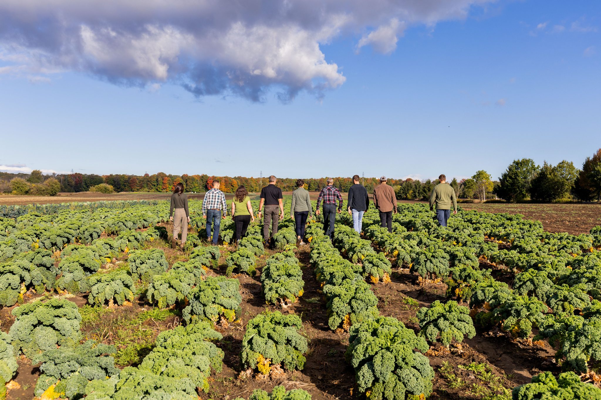 Grain Mills | Pfennings Organic Farms